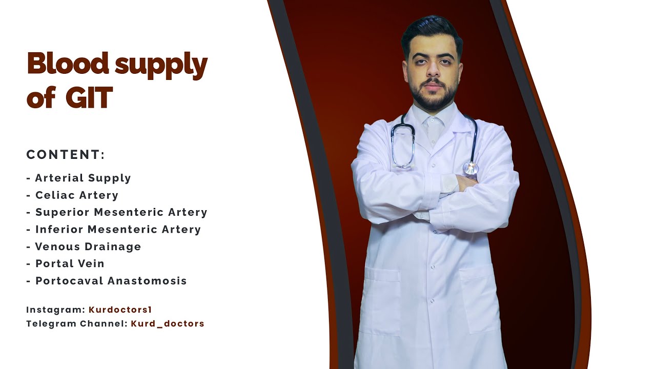 Digestive system | Anatomy | Blood supply GIT - YouTube