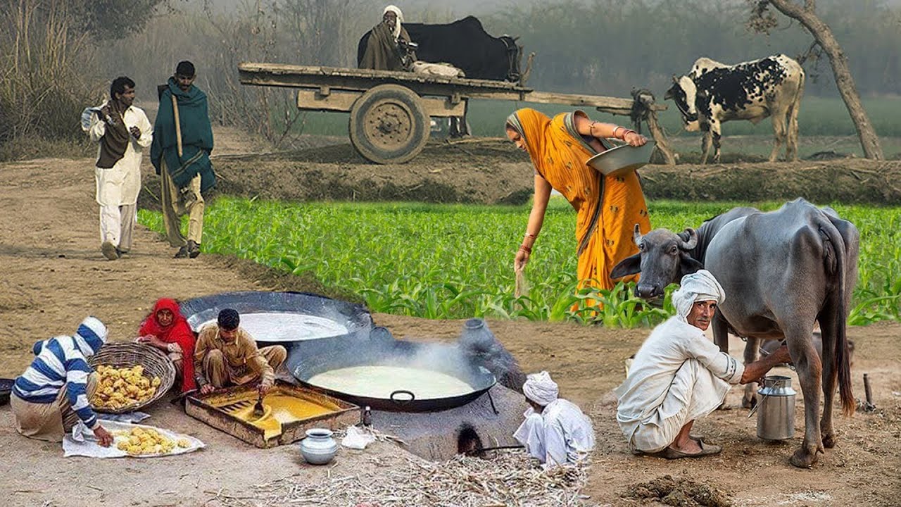 Wonderful Village Life in Pakistan | Rural Life Pakistan | Traditional ...