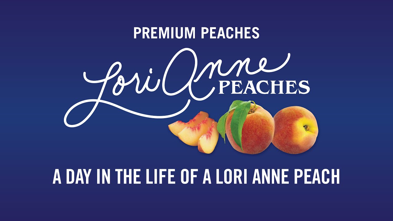 A Day of a Lori Anne Peach - YouTube