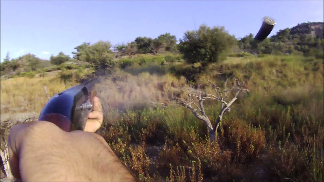 ΚΥΝΗΓΙ ΛΑΓΟΥ HARE HUNTING BEST OF PHASES CACCIA ALLE LEPRI CAÇADA DE ...