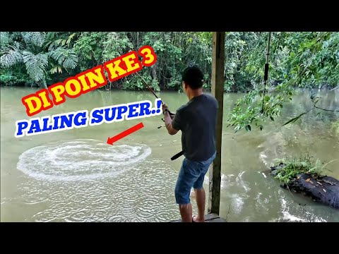 Umpan Patin Kolam||Ternyata Dipoin Ke 3 Dapat Yang Super Bahenol