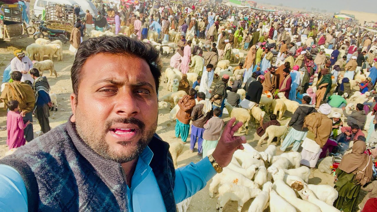 Bakar Mandi Muhammad Pur update Mondra Chatra sizan 12 hazar me ...