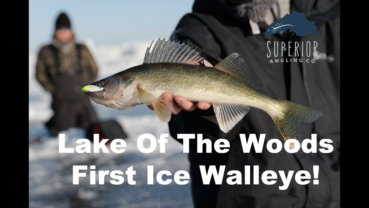 Lake Of The Woods - First Ice Walleyes! - YouTube