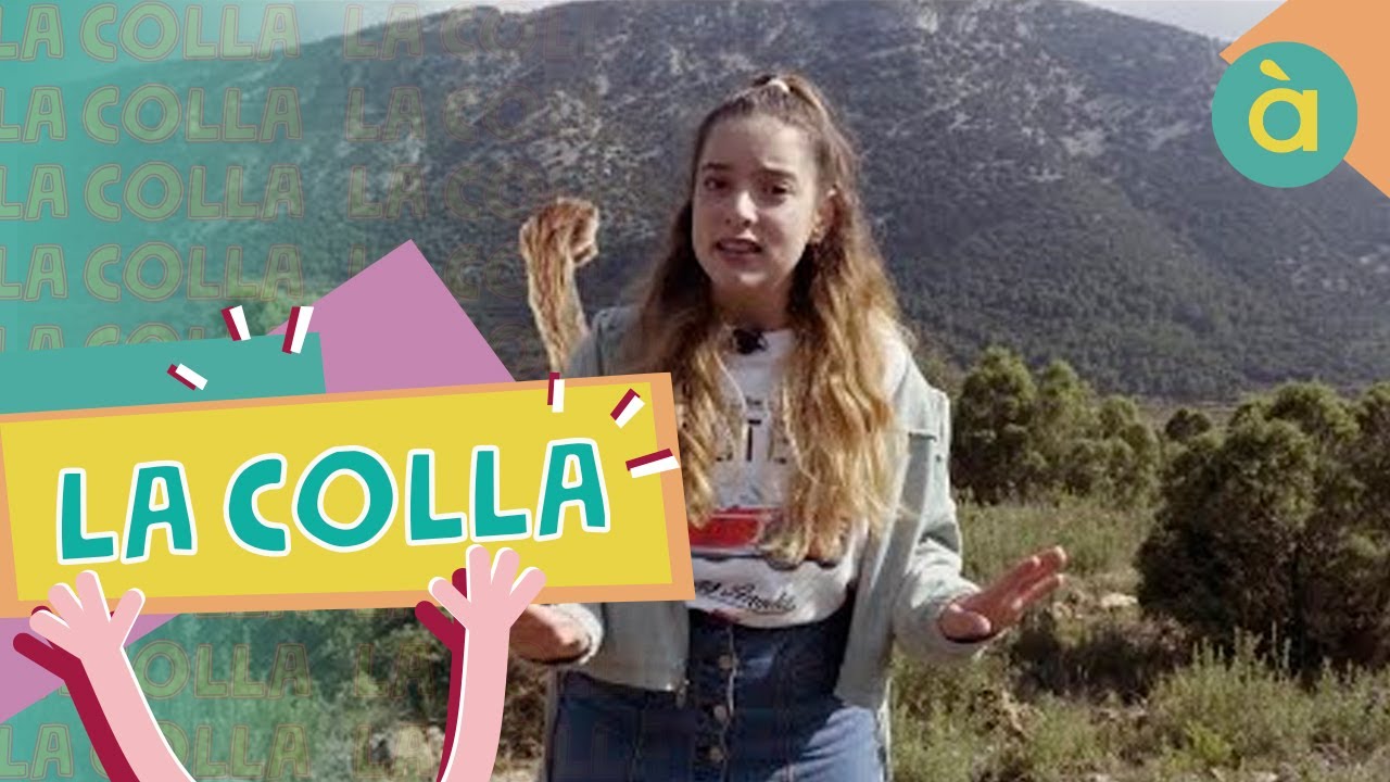 La Colla Animal | Els més pareguts - YouTube