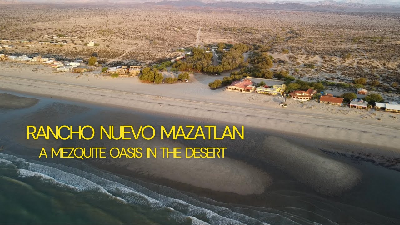 Rancho Nuevo Mazatlan: Unexpected destination 30 Minutes from San ...