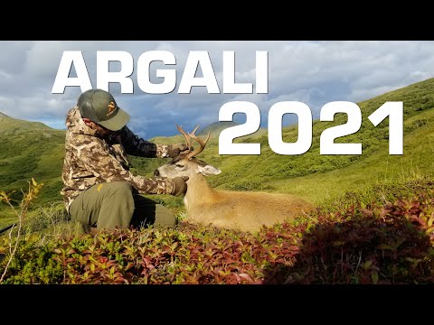 ARGALI | 2021 REEL