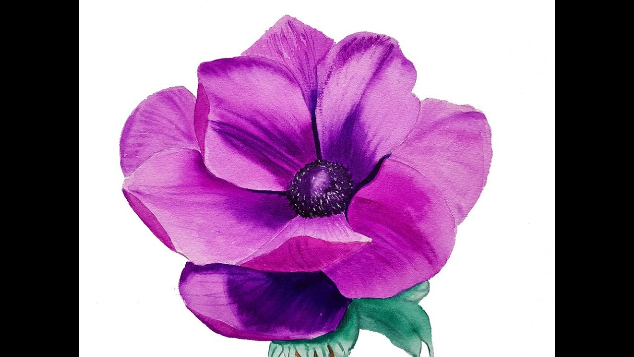 Anemone flower in Watercolor 🌺 |Painting Tutorial | How to paint ...