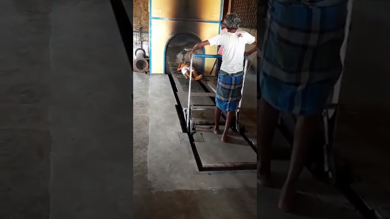 Body Disposal - YouTube