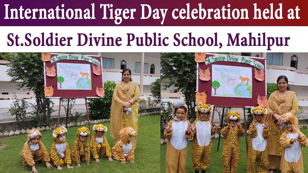 International Tiger Day celebration held at St. Soldier Divine Public ...