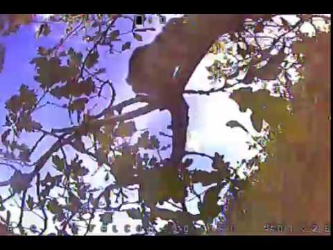 Bashing Gofly Falcon CP90 Pro - YouTube