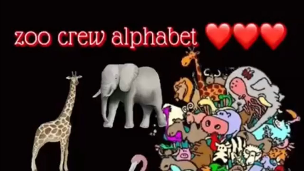 Zoo Crew Alphabet ️ - YouTube