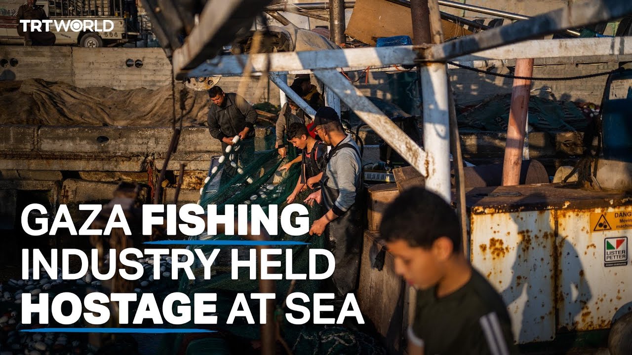 Israel's blockade puts Gaza fishing industry in crisis - YouTube