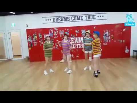 Red Velvet- Dumb Dumb(dance practice)