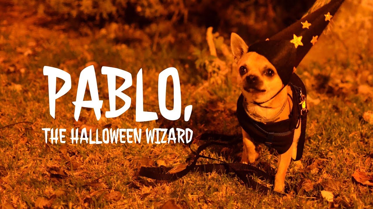 Pablo, the Halloween Wizard - YouTube