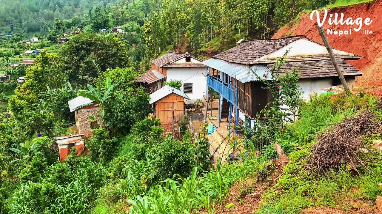 Life in Rural Nepal | Traditional Countryside life in Nepal | Village ...