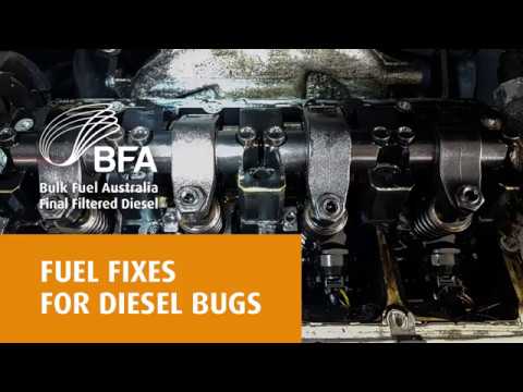 Fuel fixes for diesel bugs | Bulk Fuel Australia - YouTube