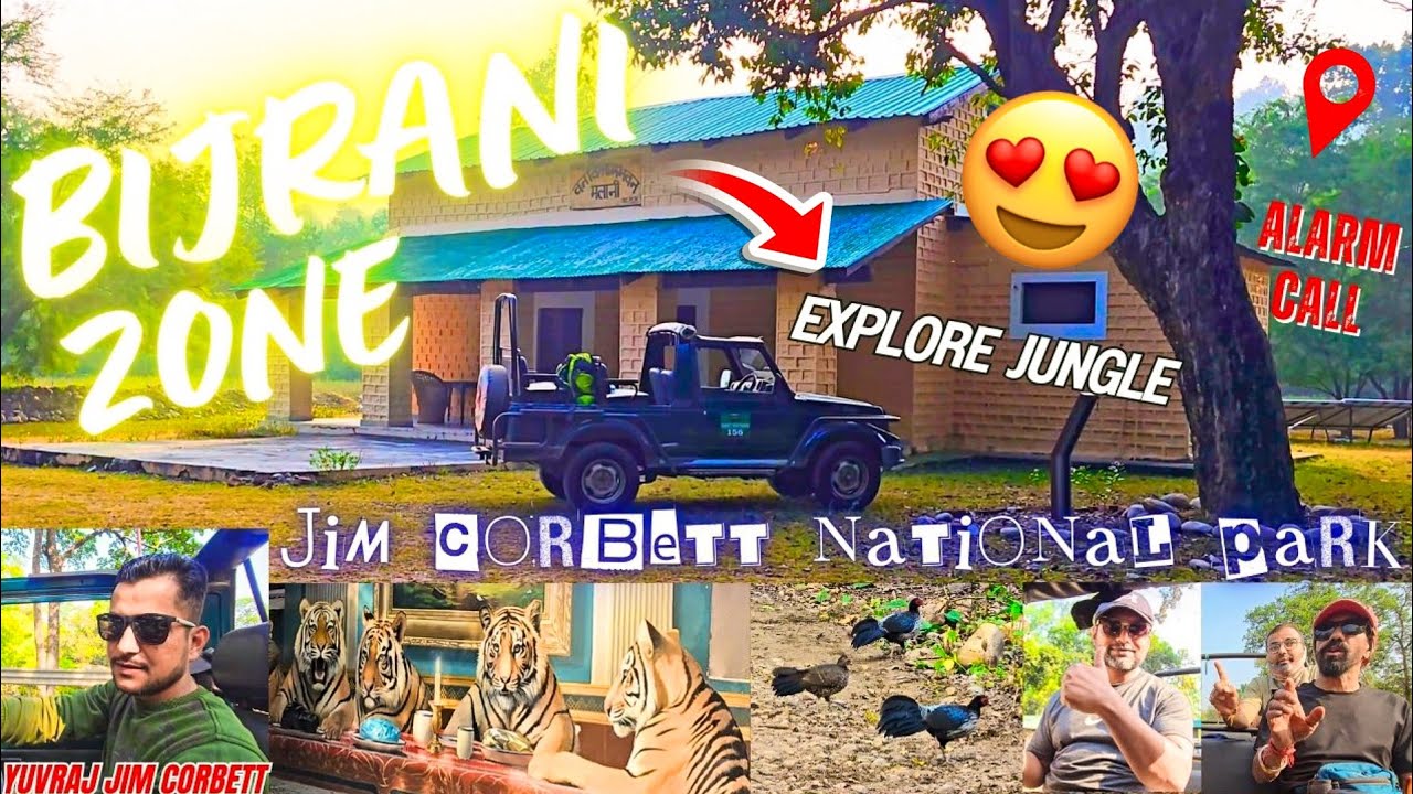 BEAUTY OF BIJRANI ZONE & MALANI GUEST HOUSE 😍 #yuvrajjimcorbett - YouTube