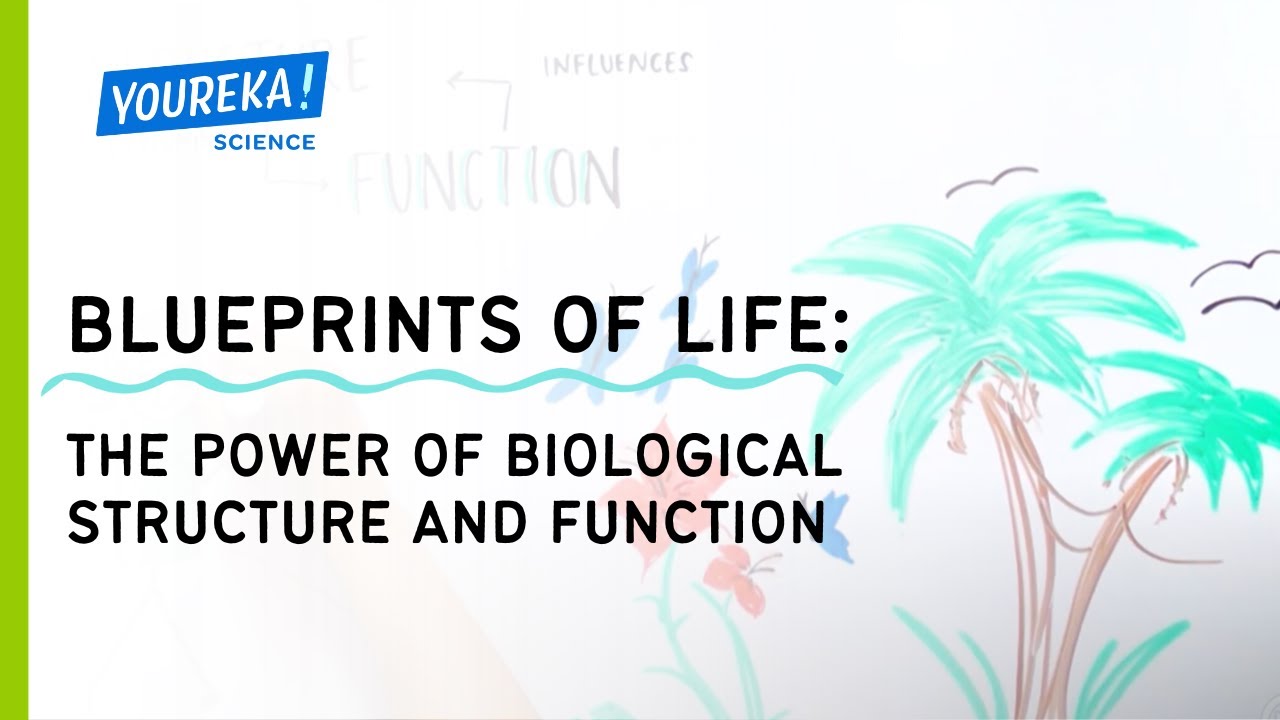 Blueprints of Life: The Power of Biological Structure and Function ...