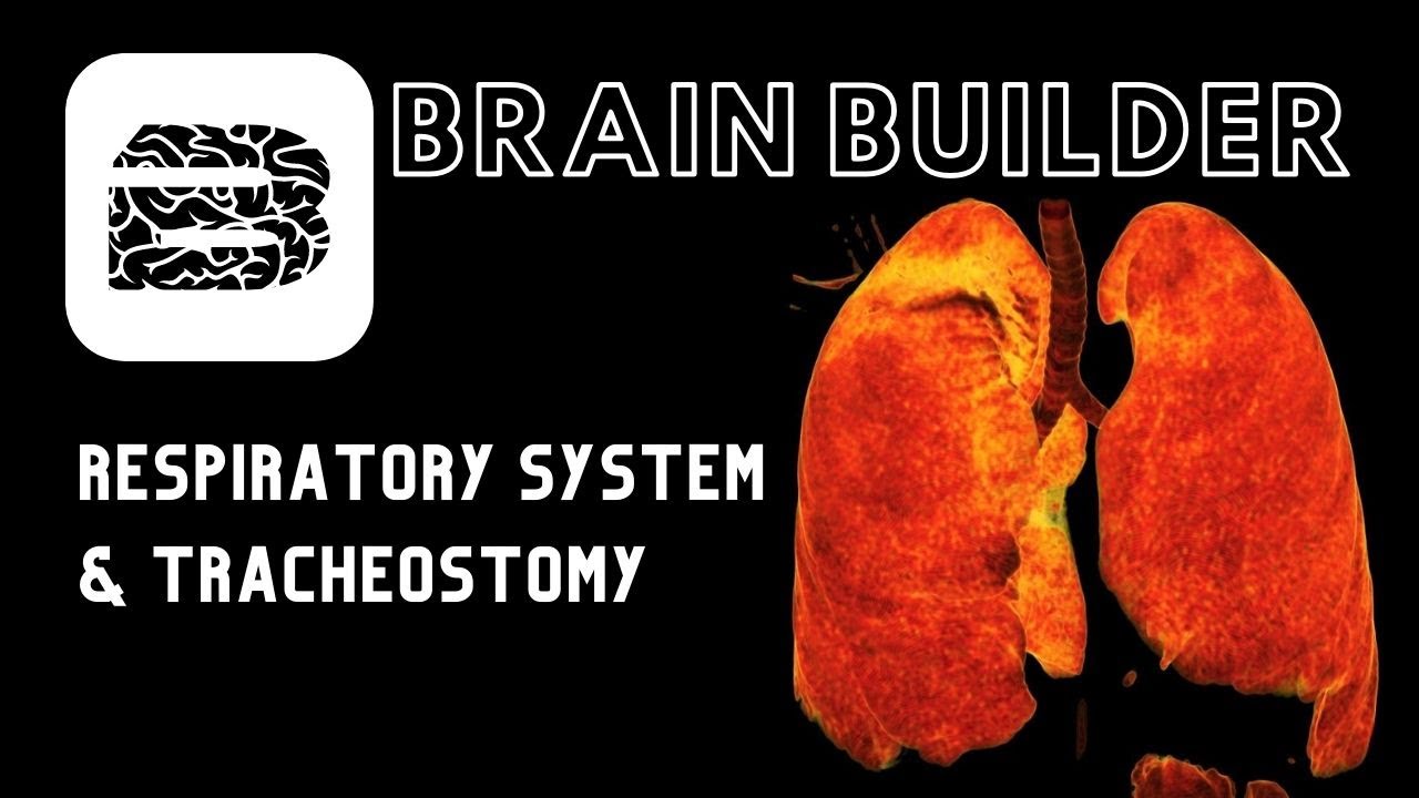 Respiratory System and Tracheostomy | Real Anatomy - YouTube