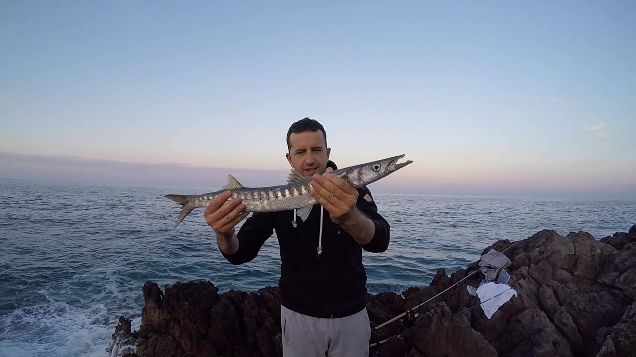 Montenegro Spinning - Duo Tide Minnow Slim 175 - Barracuda 1.3 kg - YouTube