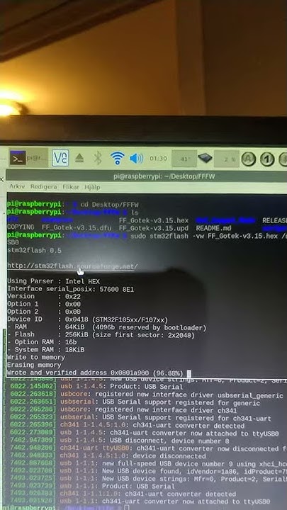 Flashing the Gotek in Rasbian, my first time ever flashing a bootloader! - YouTube