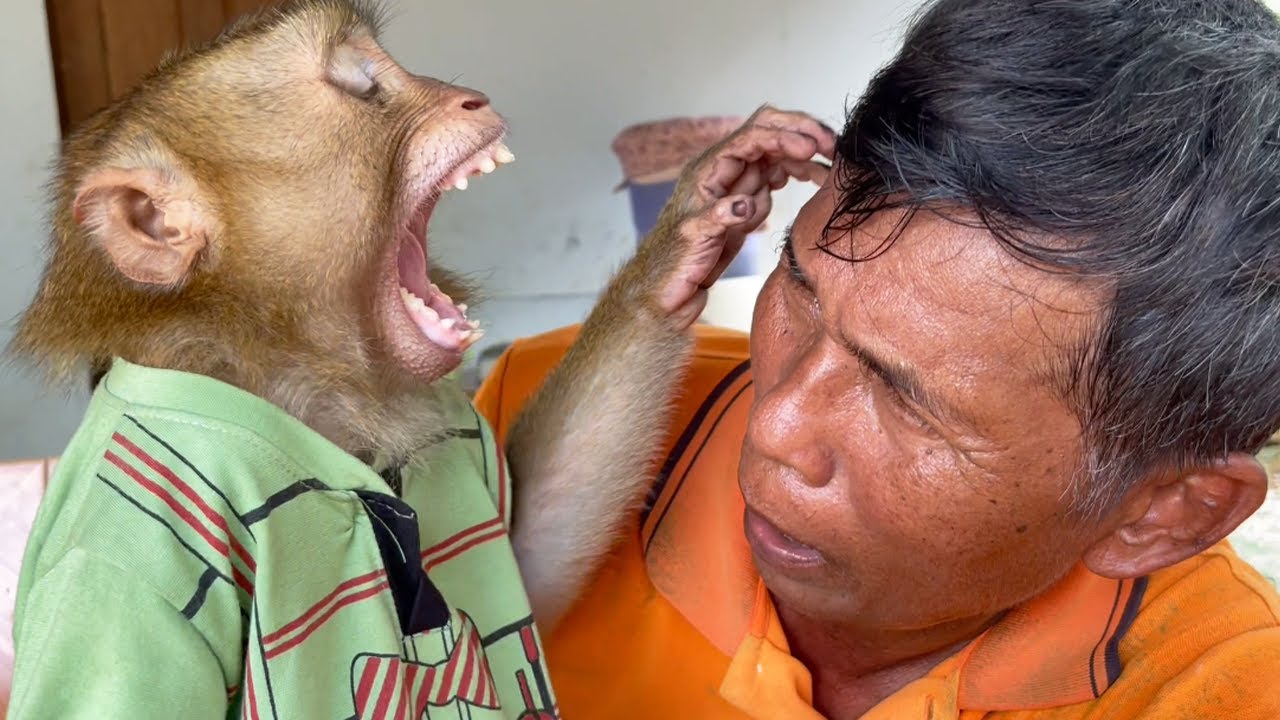 Tin Crying Loudly Big Mouth while Can'T to Grandpa Grooming - YouTube