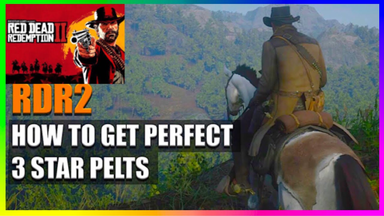 How to get perfect animal pelt in red dead redemption 2! (3 Star beaver ...