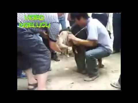 Mesum ditonton banyak orang..GILAAAA