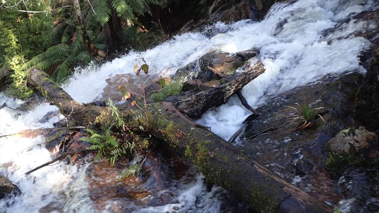 Reefton Spur and Cambarville Aug 2019 - YouTube
