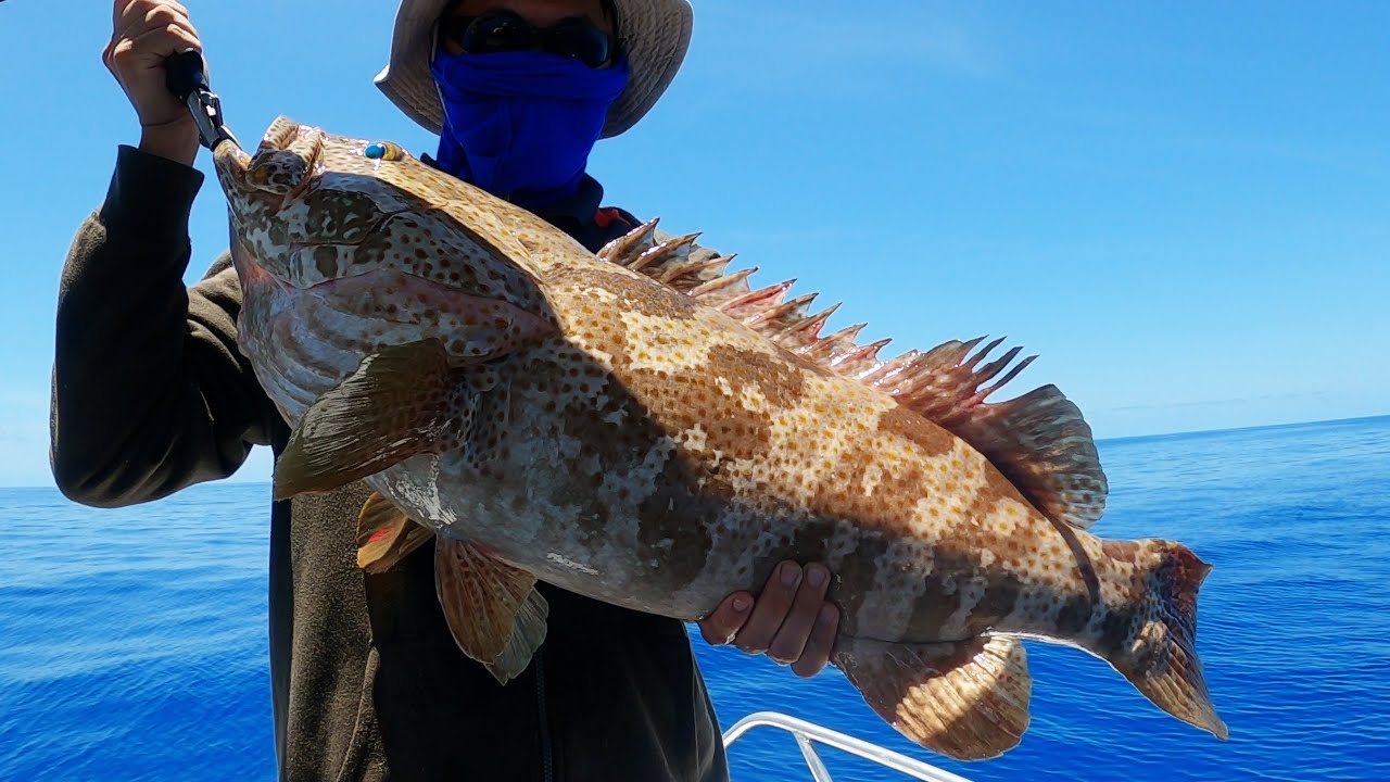 GOLD SPOT COD saved the day!! Glass weather and nothing on the CHEW ...