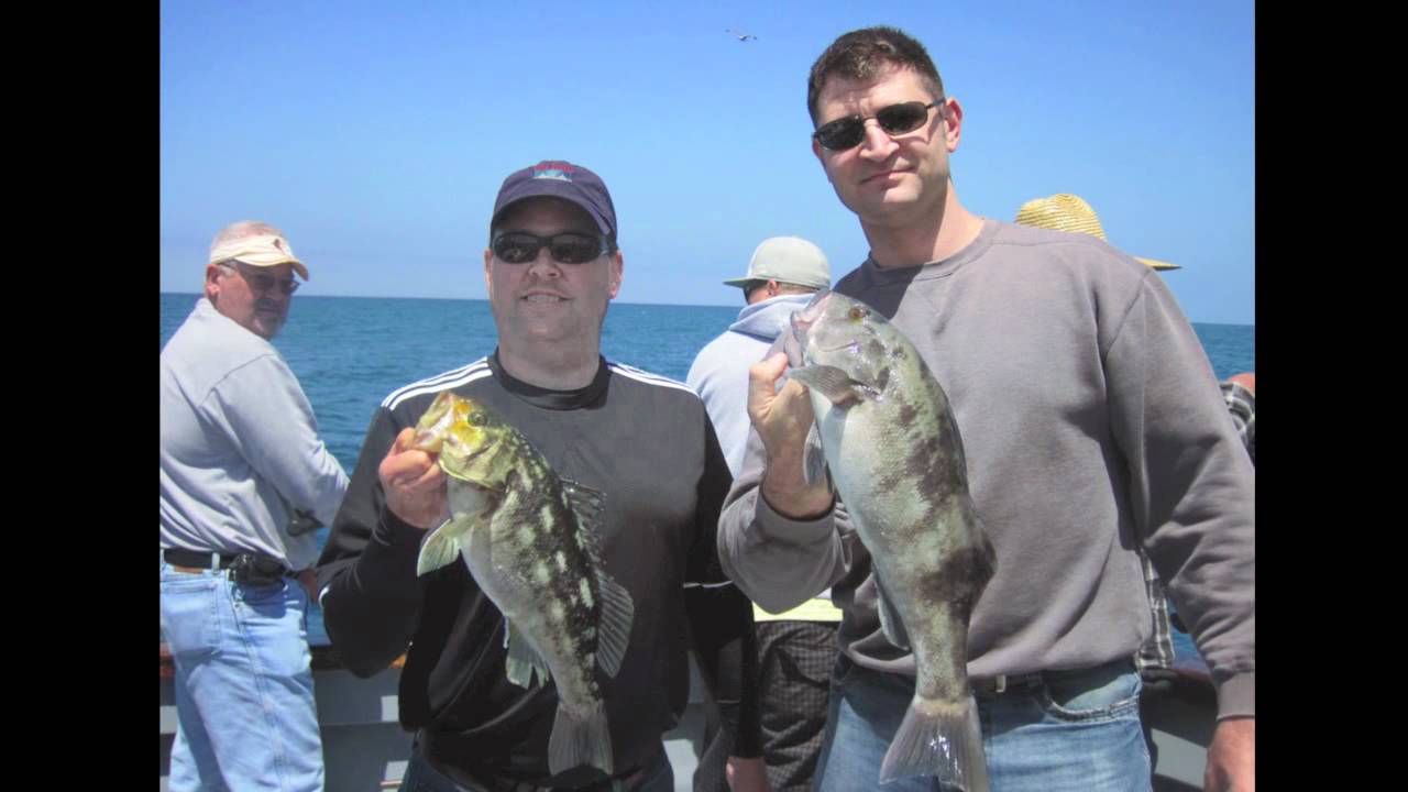 Sea Star Charters: Cisco Systems Sportfishing Charter - YouTube