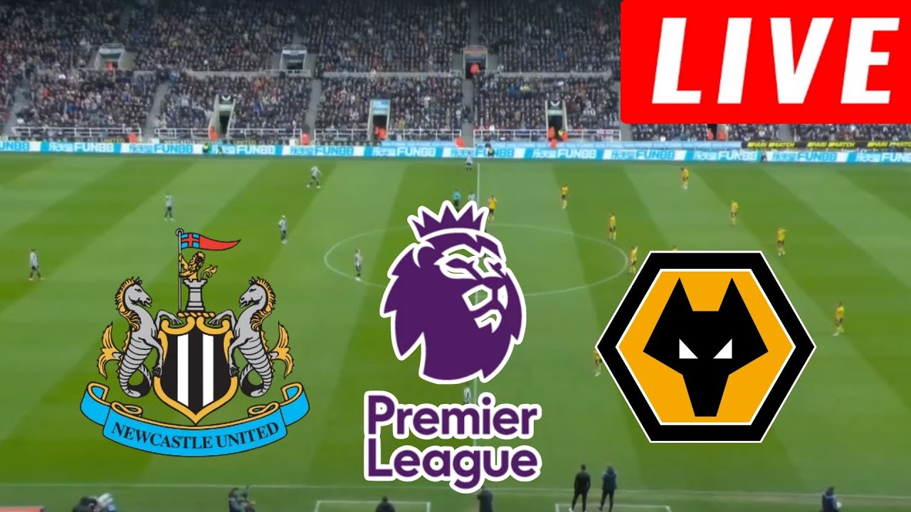 Newcastle vs Wolves Premier league FIFA23 LIVE - YouTube