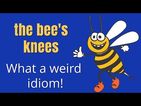 What Are Sayings Like The Bees Knees Called