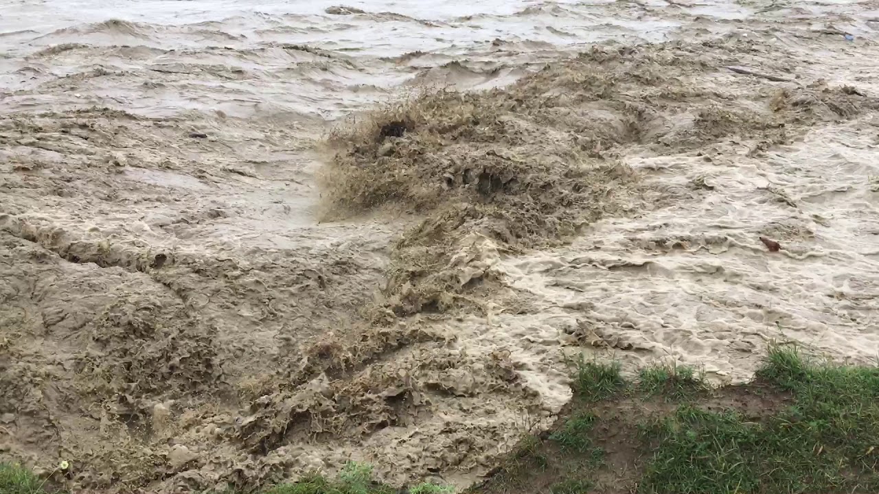 RAUL TROTUS 2018 - YouTube