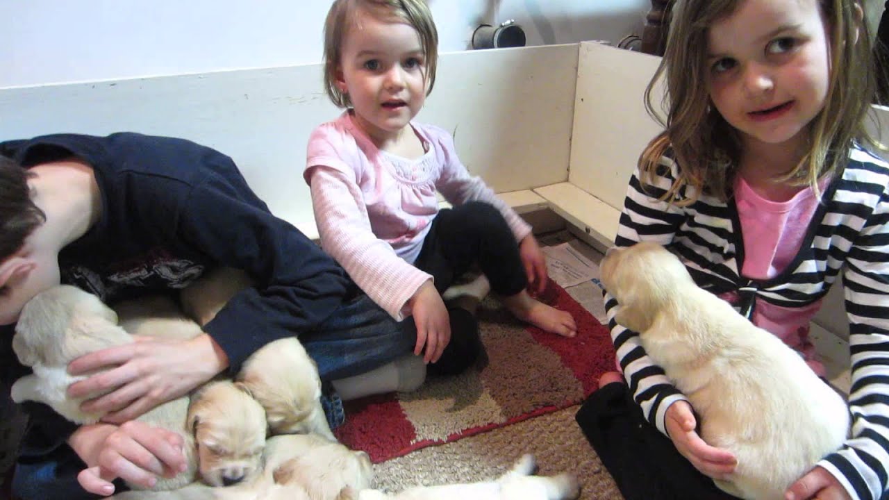 Hazel two weeks - YouTube