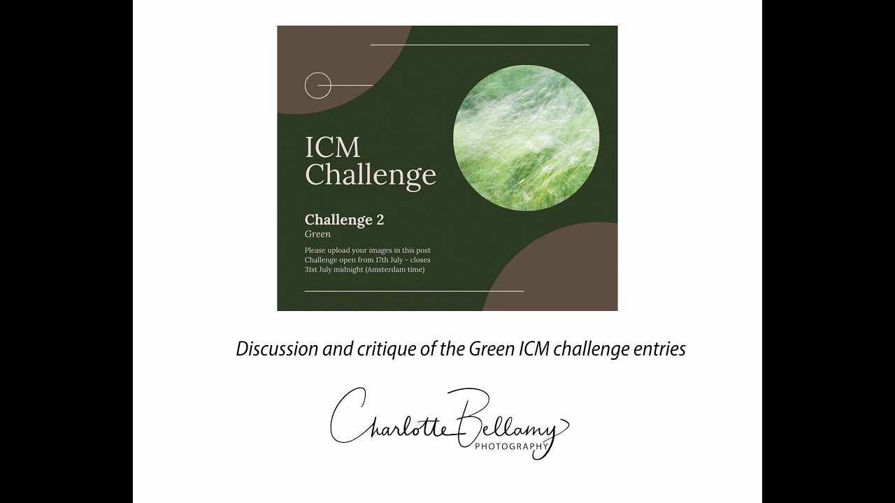 Discussion/critique of a collection of ICM images entered into the ICM ...