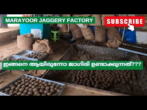 Marayoor Jaggery Factory - ജാഗിരി ഉണ്ടാകുന്നത് ഇങ്ങനെ ആണ് - Subscribe ...