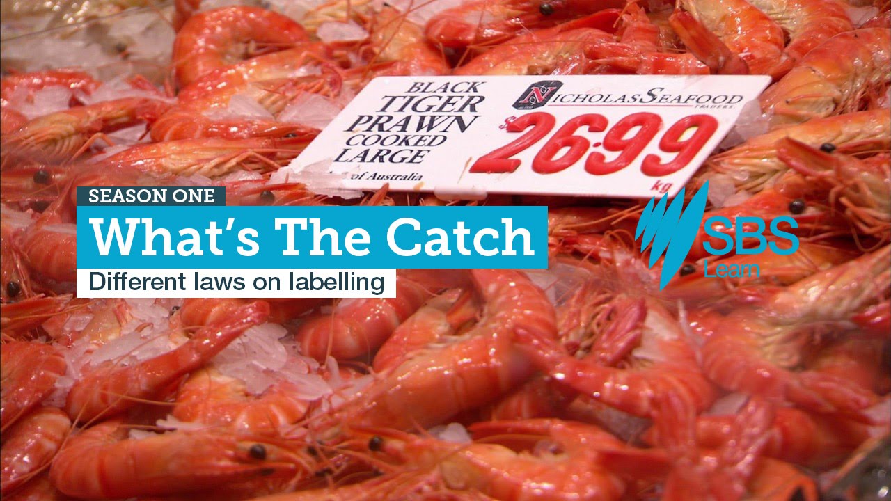 Different Laws on Seafood Labelling | SBS Learn: What's The Catch ...