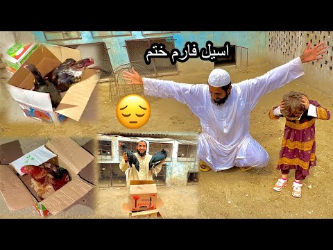 Aseel farm Khatm 😔 Sub Murga Chly Gye 💔