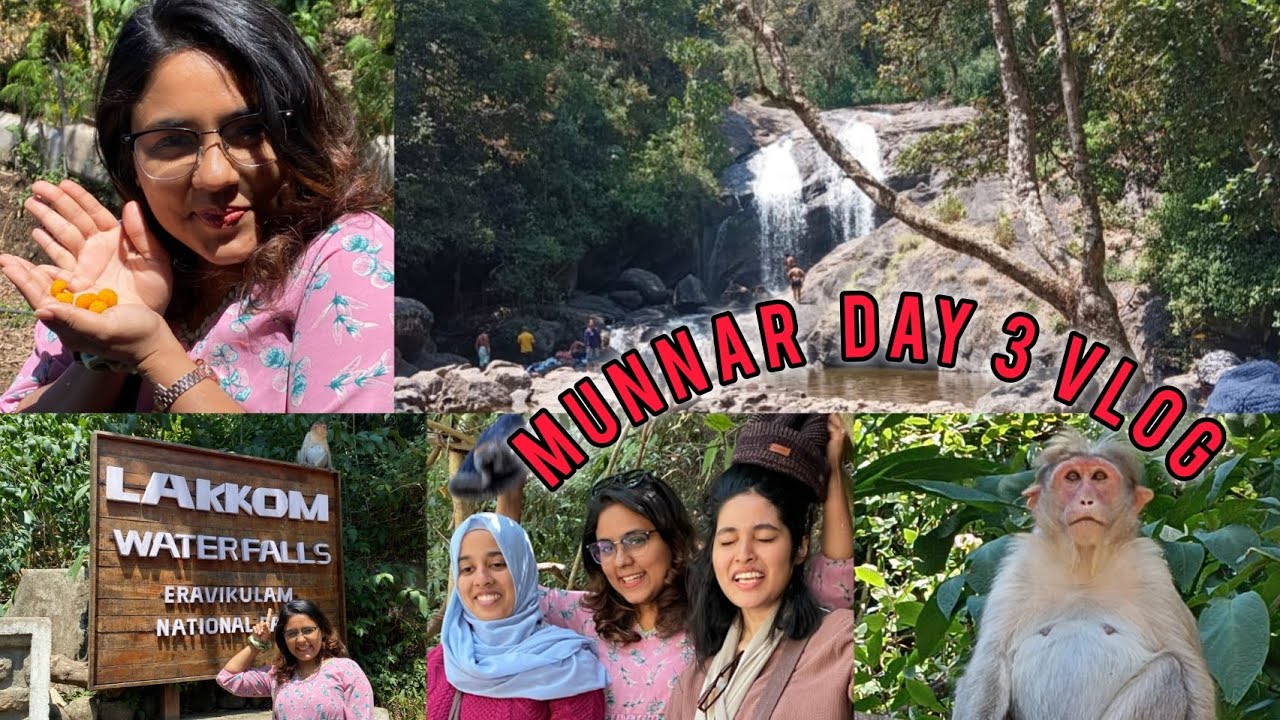Munnar day 3 VLOG- final episode .#lakkomwaterfall#munnar # ...