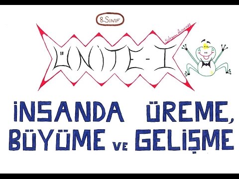8. SINIF FEN ÜNİTE-1 İNSANDA ÜREME BÜYÜME GELİŞME(YENİ MÜFREDAT)