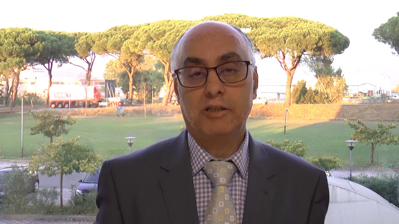 Khalid Choukri - Interview at CLARIN Annual Conference 2018 in Pisa ...
