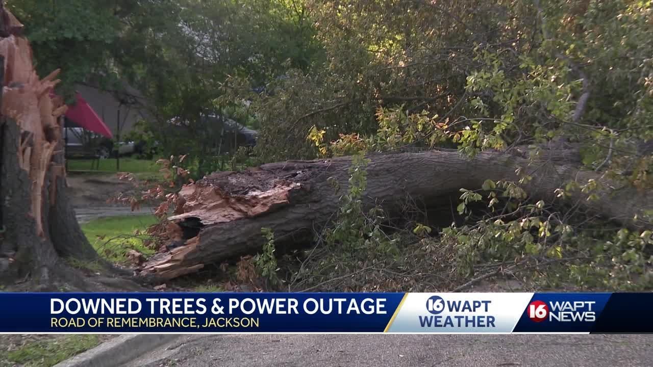 Tree still down, power still out - YouTube