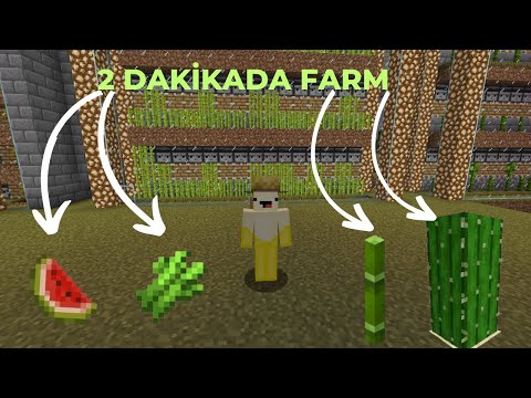 Towny Nasıl Farm yapılır Kaktüs Farmı ŞekerKamışı Farmı Karpuz Farmı 1.16.5