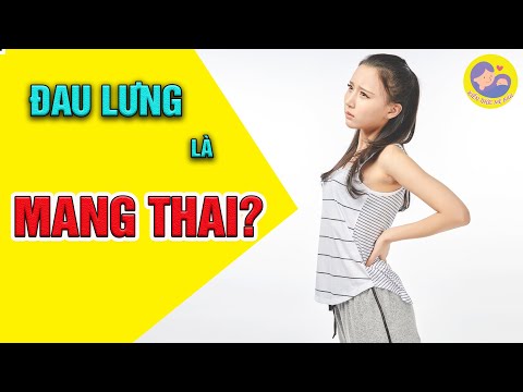 ☘️ Đau Lưng Như Thế Nào Là Có Thai? Tại Sao Phụ Nữ Thường Đau Lưng Khi Mới Thụ Thai?