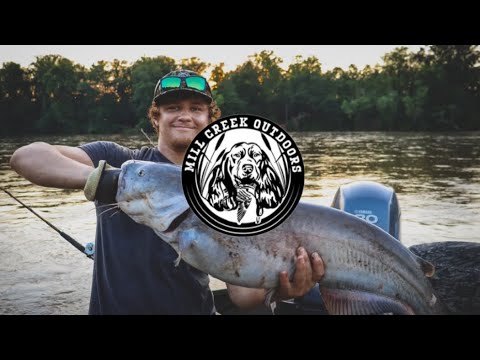 I caught a monster catfish on the Pee Dee. - YouTube