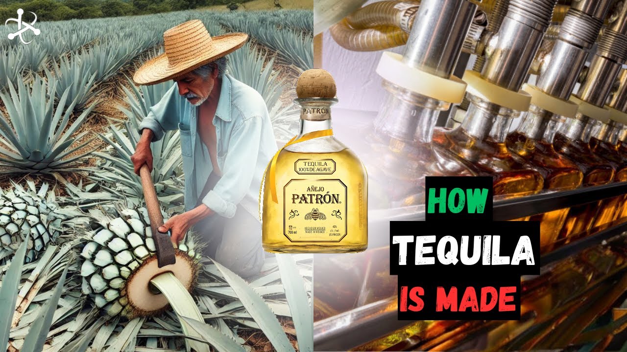 How Tequila is Made from Blue Agave -- Tech Revolt - YouTube