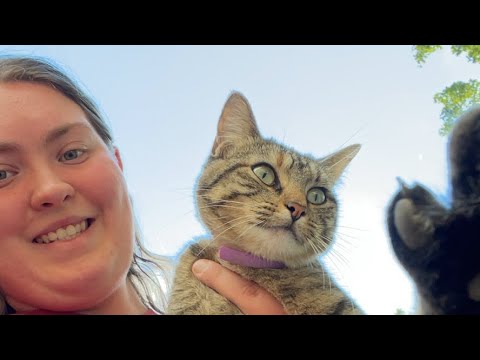 Isabella Sutton is live! Cats - YouTube
