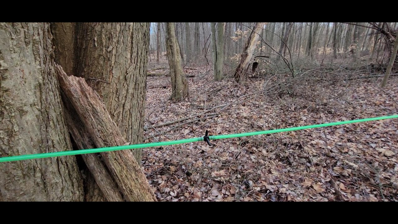 How to Run Maple Syrup Sap Lines - YouTube
