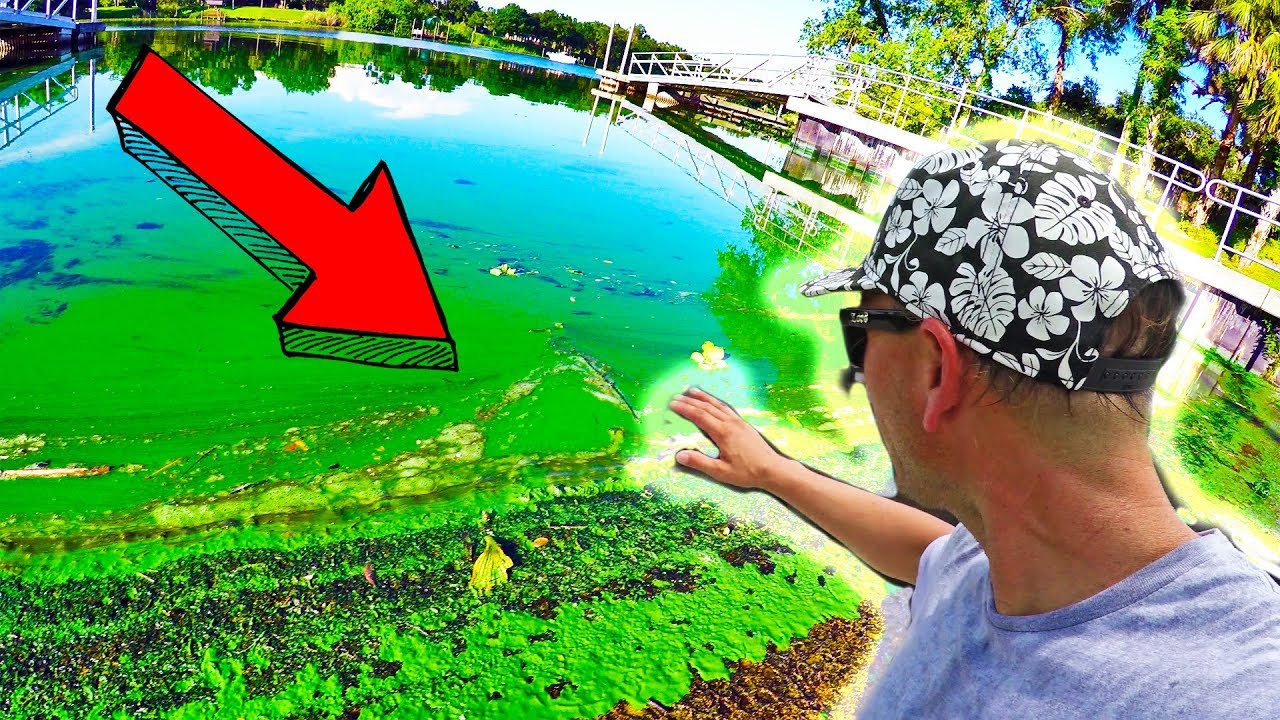 RED TIDE Green ALGAE Lake Okeechobee Slime CHALLENGE - YouTube